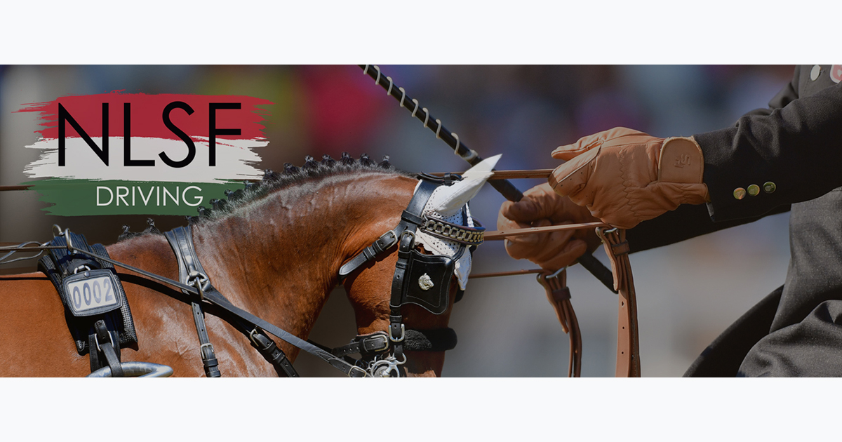 NLSF Program a fogathajtó szakágban – A Magyar Lovassport Szövetség Hivatalos Weboldala